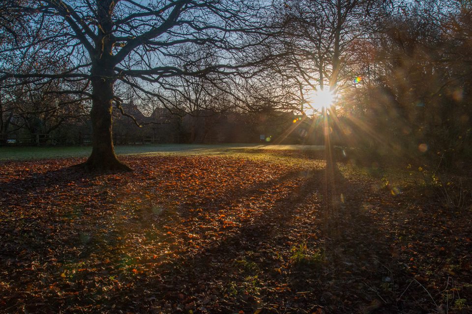 Radyr Woods Wardens | Radyr & Morganstown Community