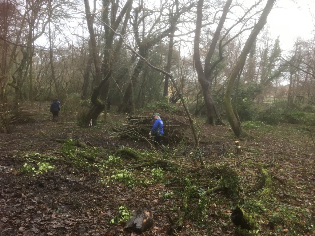 Radyr Woods Wardens | Radyr & Morganstown Community