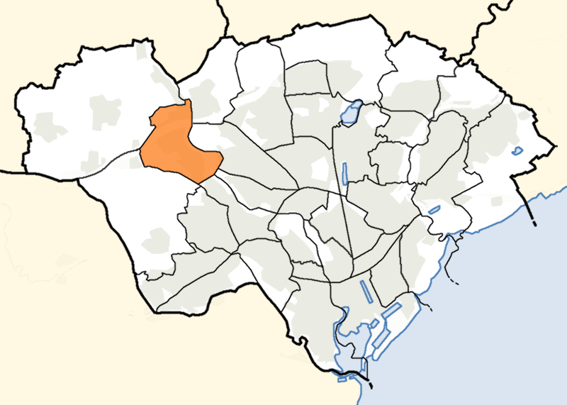 Review of the Cardiff Local Development Plan (LDP) | Radyr ...