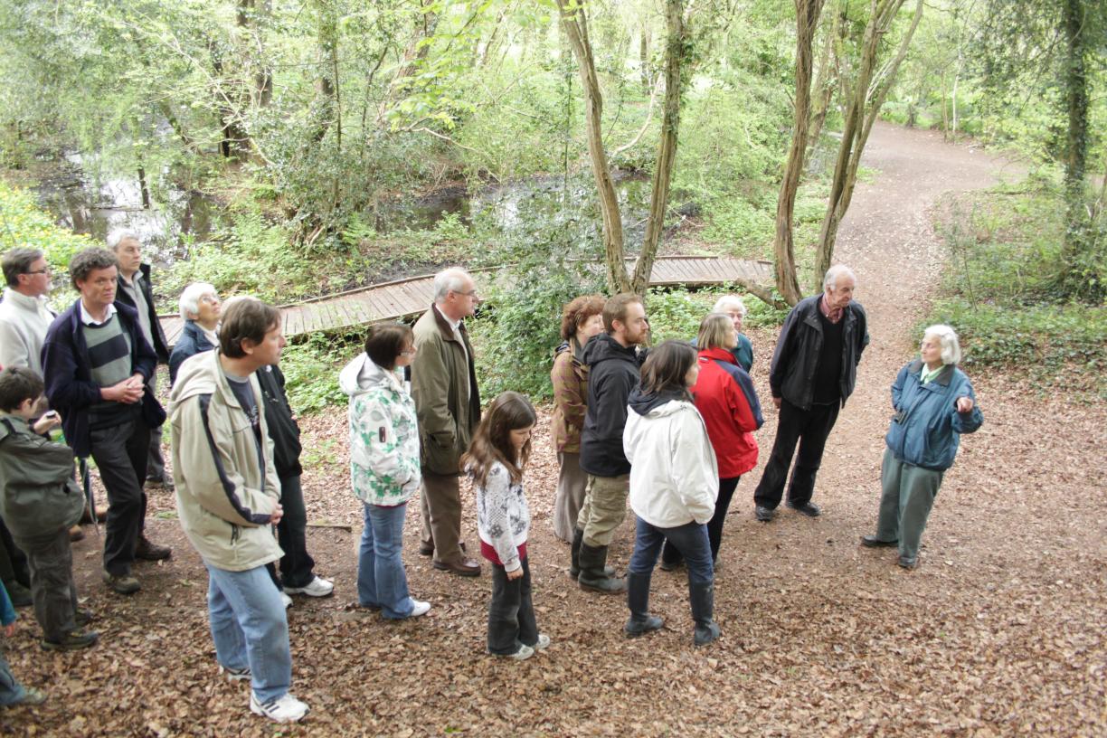 Radyr Woods | Radyr & Morganstown Community