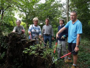 Dan y Bryn Woods | Radyr & Morganstown Community