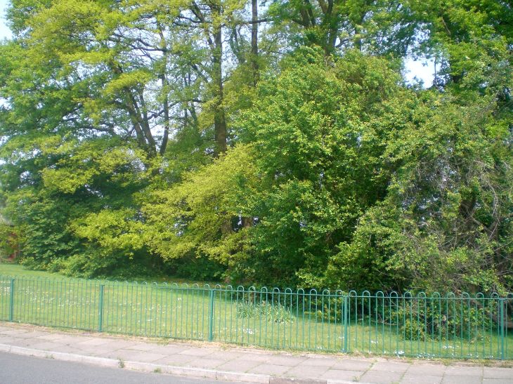 Pentwyn Park | Radyr & Morganstown Community