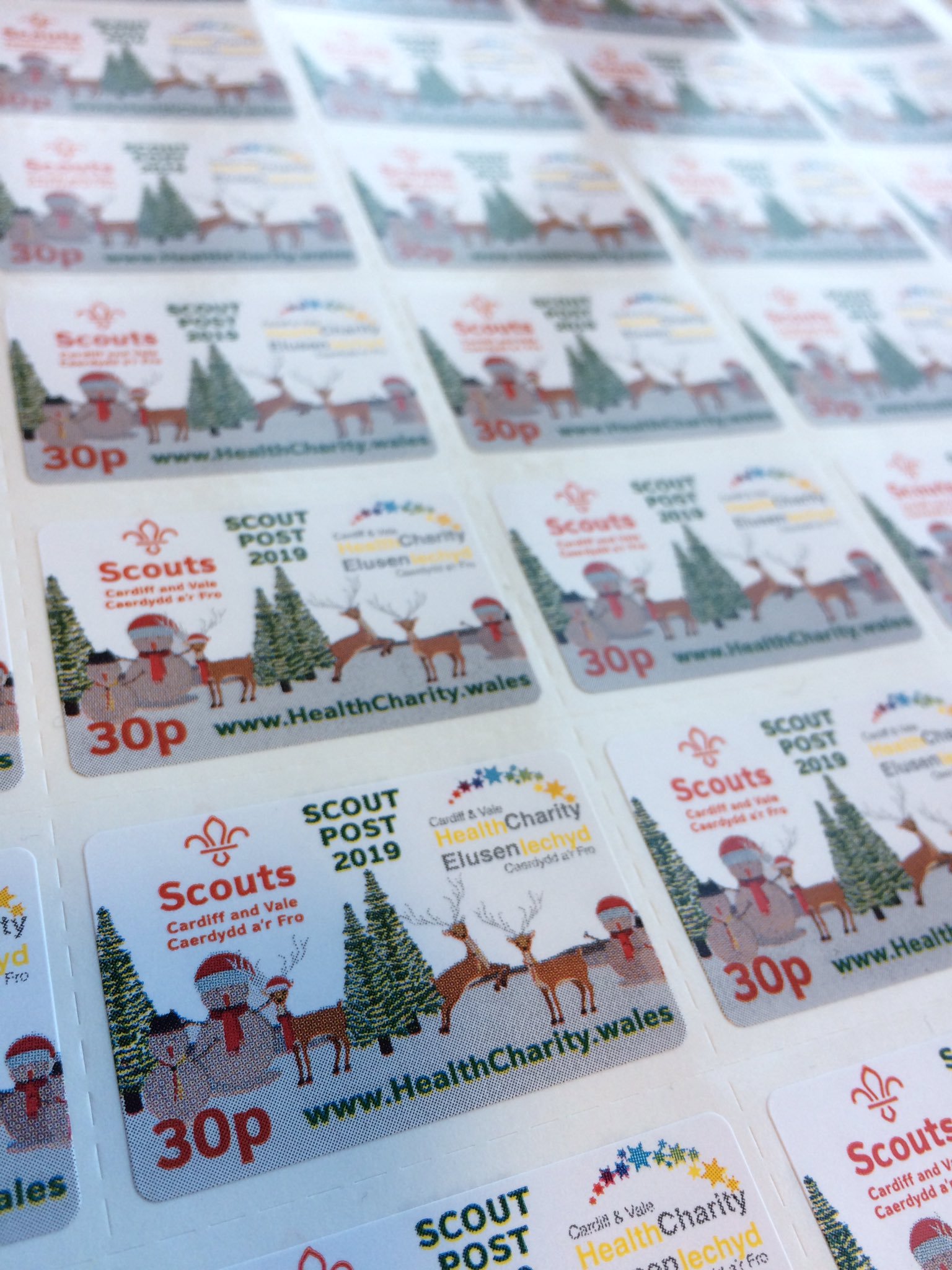 No Scout Post for 2020 | Radyr & Morganstown Community