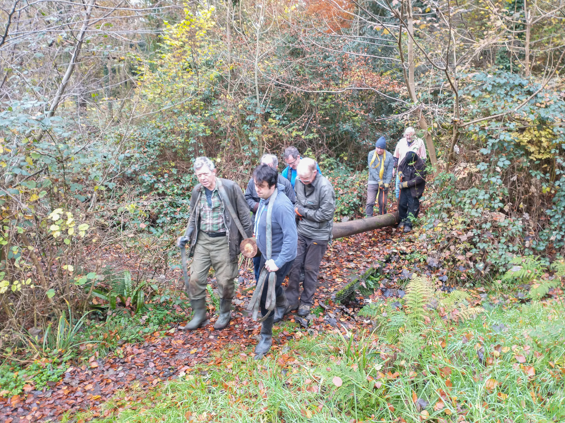 New bridge at the Burnt Mound in Radyr Woods | Radyr & Morganstown ...