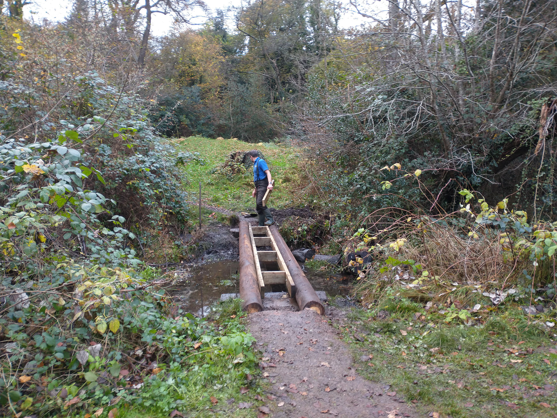 New bridge at the Burnt Mound in Radyr Woods | Radyr & Morganstown ...