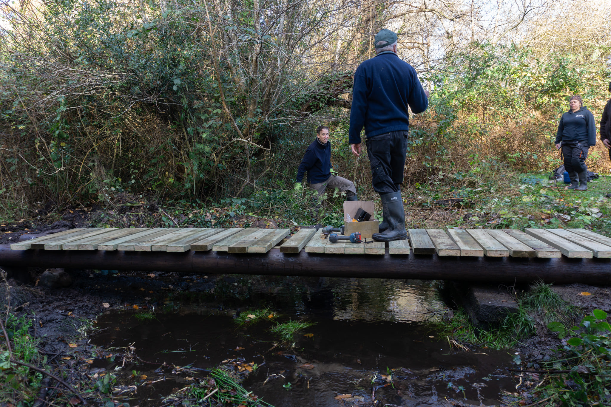 New bridge at the Burnt Mound in Radyr Woods | Radyr & Morganstown ...