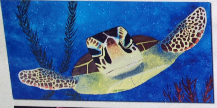 Student Artwork in Radyr Woods | Radyr & Morganstown Community